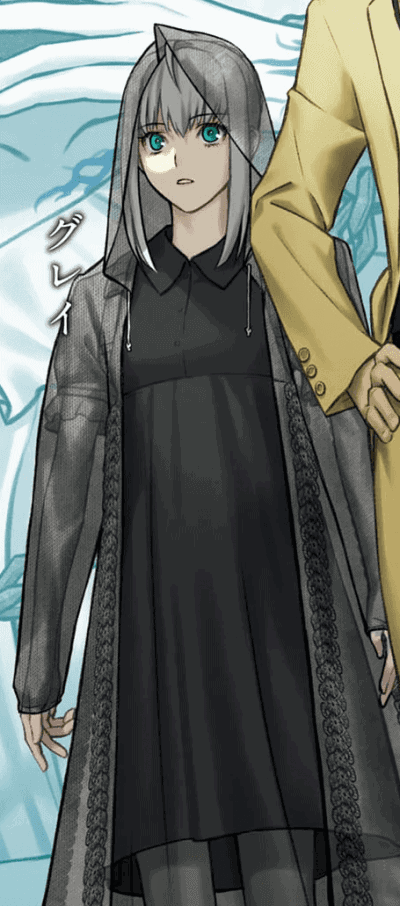Gray - Fate - MyWaifuList