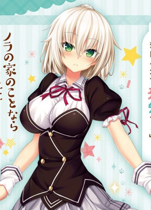 Nora to Oujo to Noraneko Heart Characters - MyWaifuList