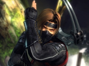 Hayate - Dead Or Alive - MyWaifuList