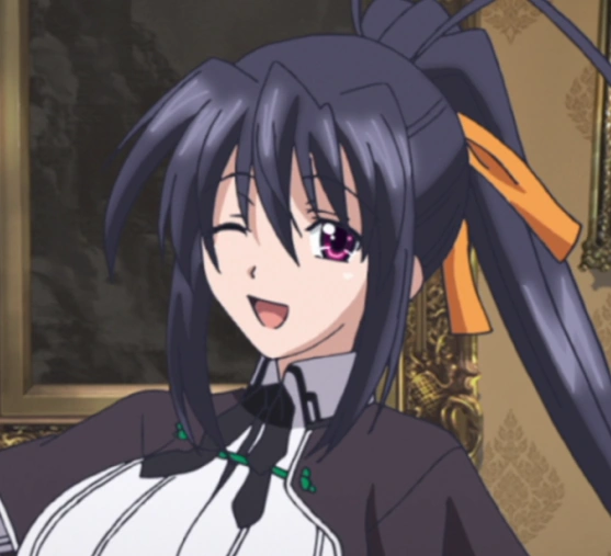 Akeno Himejima - High School DxD - MyWaifuList